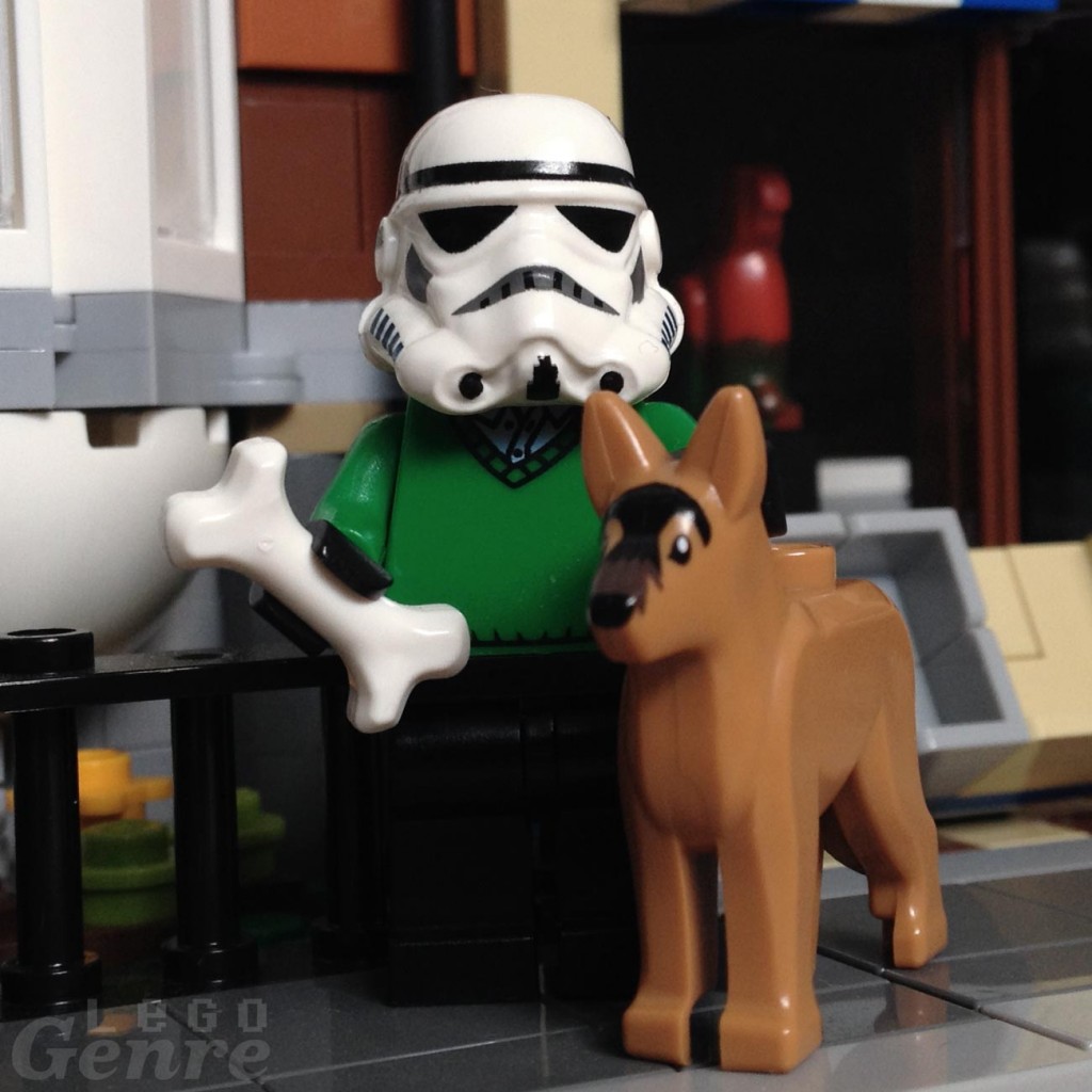 Trooper Archives - EverydayBricks